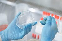 Seed & Grain Genetic Testing • ICIA
